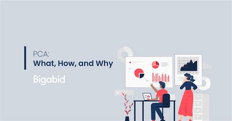 What Is Principal Component Analysis Pca And How To Use It Bigabid