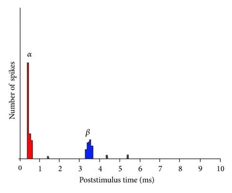 Stylised Poststimulus Time Histogram Showing Examples Of α And