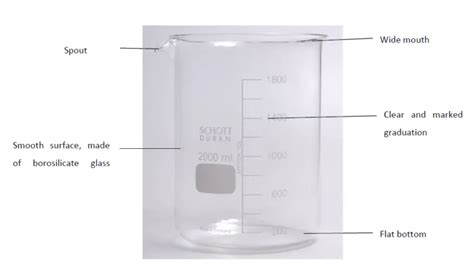 Beaker Definition Types Features And Applications Biology Notes Online