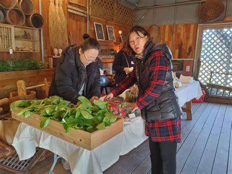 언니네텃밭 텃밭과 꾸러미로 바꾸는 세상