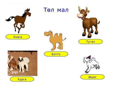 таван хошуу мал