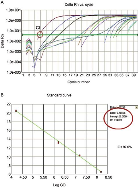 A Quantitative Real Time Polymerase Chain Reaction Pcr Of Download Scientific Diagram