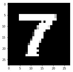 Python Getting Same Result For All Predictions In Cnn Data Science Stack Exchange