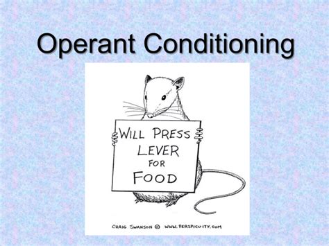Operant Conditioning Examples