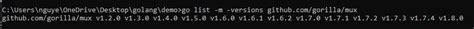How To Use Go Get Specific Version In Go Solved Golinuxcloud