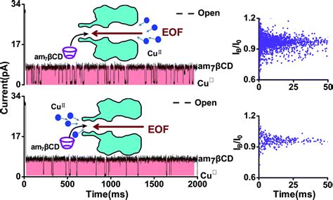 Nanopore Sensor For Copper Ion Detection Using A Polyamine Decorated β Cyclodextrin As The