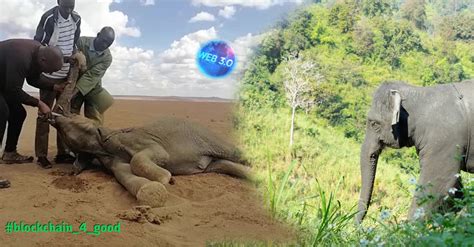 Exploring The Environmental Benefits Of Web3 Technologies