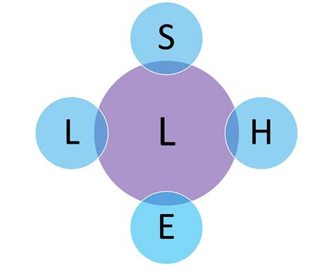 Reducing Mistakes And Stress In Dental Practices With The SHELL Model The Institute Of Dental