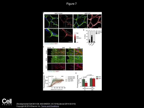 Volume Issue Pages March Ppt Download