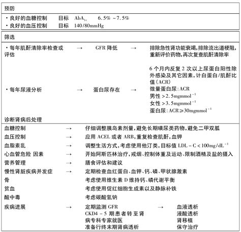 7 7 慢性肾脏疾病及其并发症的处理 内分泌 医学