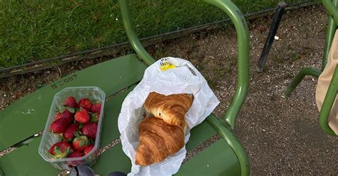 가방 경치가 좋은 고요한 공원 과일 낭만적인 녹색 의자 달콤한 도시 공원 딸기 레저 문화 체험 바게트 벤치 빈티지 의자 선글라스 소풍 스낵