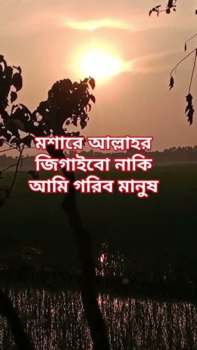 মশারে আল্লাহর জিগাইবো নাকি আমি গরিব মানুষ Youtube