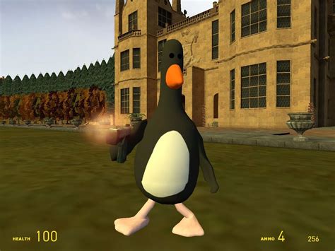 Feathers Mcgraw Wallpapers Wallpaper Cave