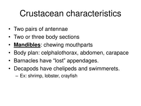 Ppt Arthropods Powerpoint Presentation Id176394