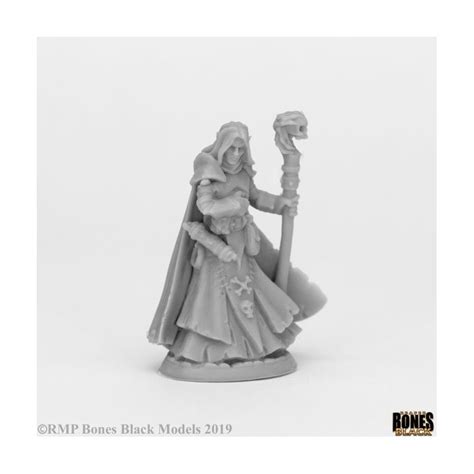 Dark Elf Wizard