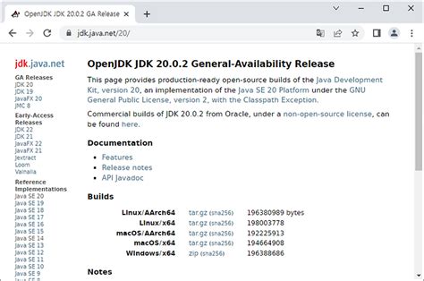Openjdk 20