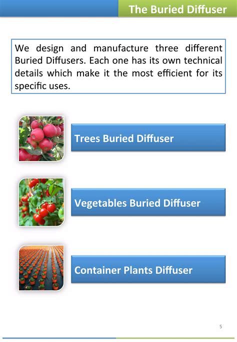 Buried Diffusers Advantages Compared With The Drip Irrigation Pdf