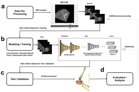 Diagnostics Free Full Text Deep Learning Model Based On You Only
