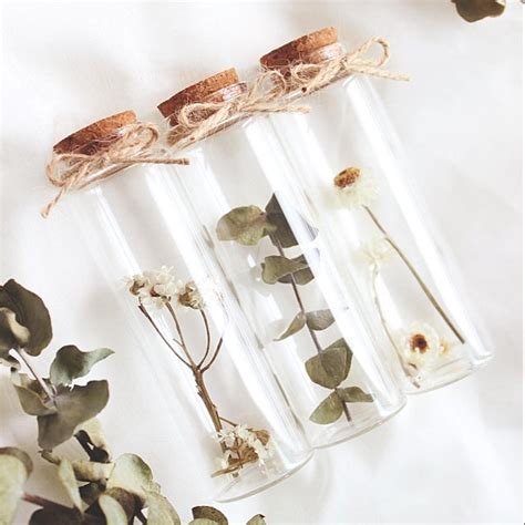 분위기 감성 가득 3종 드라이플라워 미니 유리병 꽃병 화병 유칼립투스 익소디아 엠모비움 프리저브드 인테리어 소품 선물 네이버 블로그