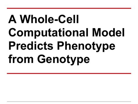 Ppt A Whole Cell Computational Model Predicts Phenotype From