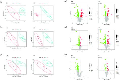 Multivariate Statistical Analysis Of Untargeted Metabolomics Data In