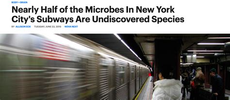 Snow Joshua Block Worldoftshirts 1 What Does L O L C O W Mean