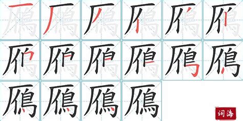 雁的笔顺和笔画 雁怎么写好看的笔画 笔画顺序怎么写 第25页 大山谷图库