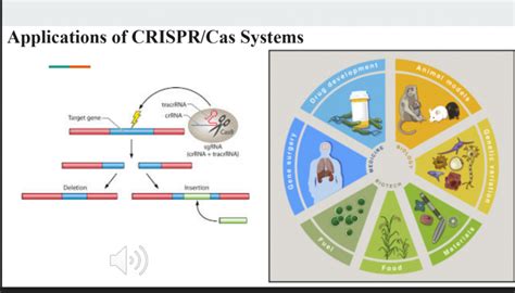 CRISPR Gene Editing Changing The Future Of Science Harward Center