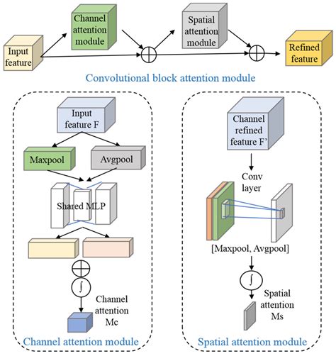 Electronics Free Full Text Yolov8 Cb Dense Pedestrian Detection Algorithm Based On In