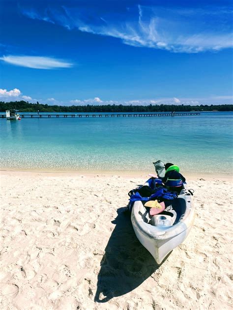 あけましておめでとうございます Tsuri taros blog