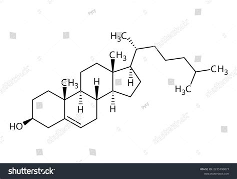 Cholesterol Molecule Structure