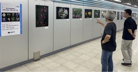 교통편의 개선 숙원사업 해결 자치구가 팔 걷는다