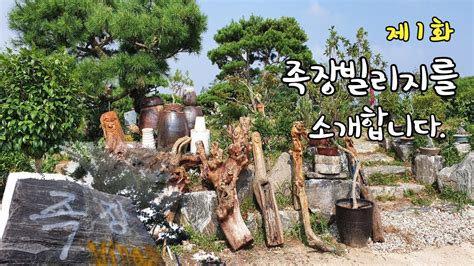 제1화 족장빌리지를 소개합니다 Youtube