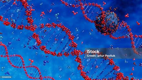 바이러스에 의한 Dna 바이러스 사슬 파괴의 3d 렌더링 0명에 대한 스톡 사진 및 기타 이미지 0명 Dna 구축함 Istock