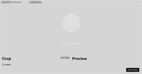 React Cropper Demo Codesandbox