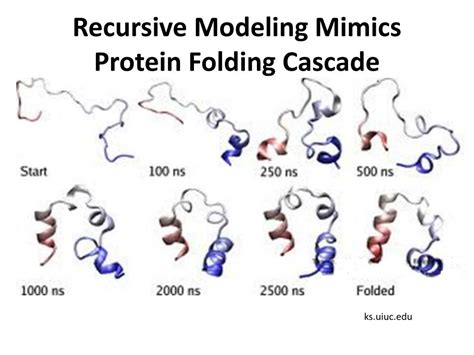 Ppt Modeling Protein Structures And Gene Regulatory Networks By Mining Protein And Rna Seq