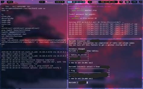 Tryhackme Cybersecurity Ethicalhacking Capturetheflag… Yogesh