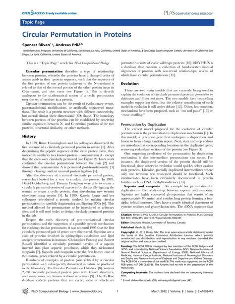 Pdf Circular Permutation In Proteins