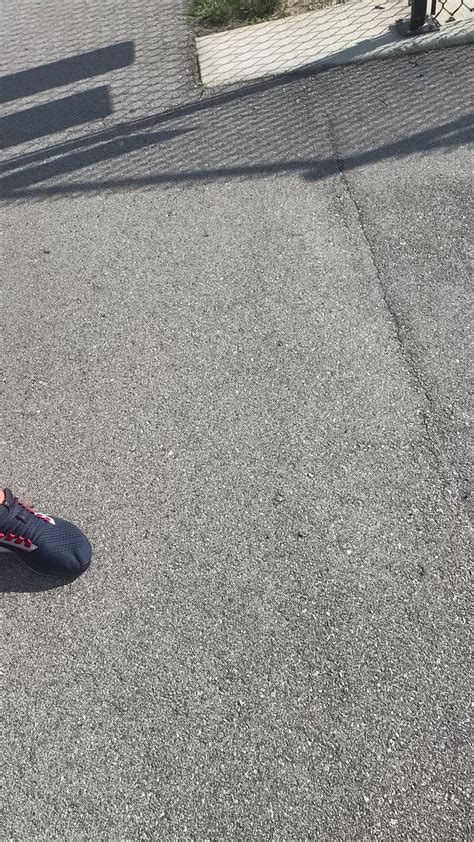 Caleb Roth Pitvipercaleb Twitter