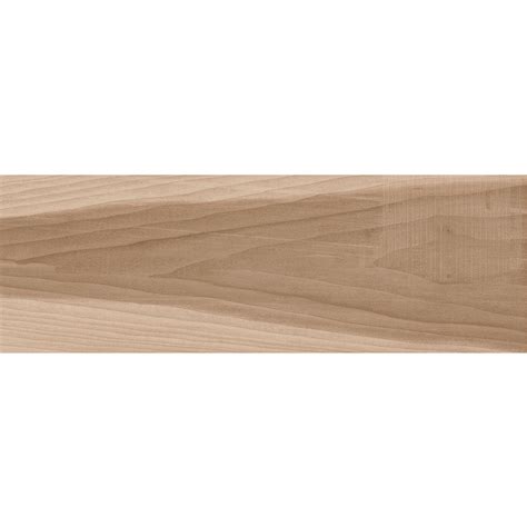 Chapala Pisosyazulejosdejalpan