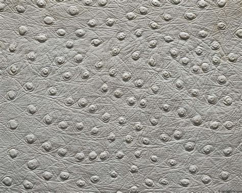 Качественные текустуры Текстура кожи