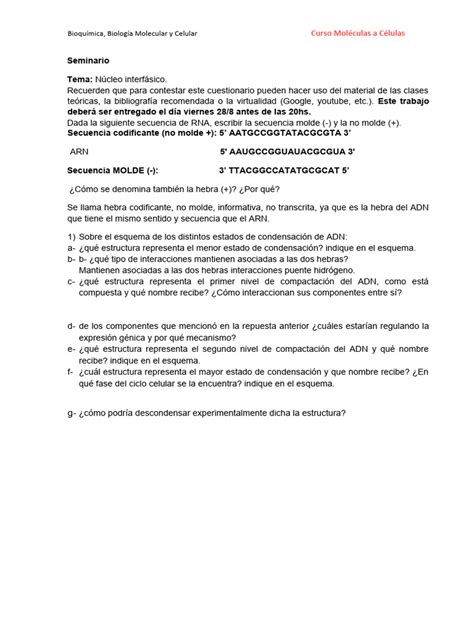 Núcleo Interfásico Pdf