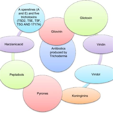Pdf Trichoderma Plant Pathogen Interactions For Benefit Of