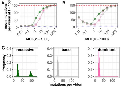 Patterns Of Deleterious Mutation Accumulation Under Different Cellular Download Scientific