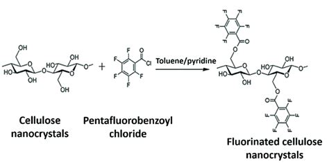 Hydrophobic Modification Of Cnc Via Fluorine Based Agents Reproduced