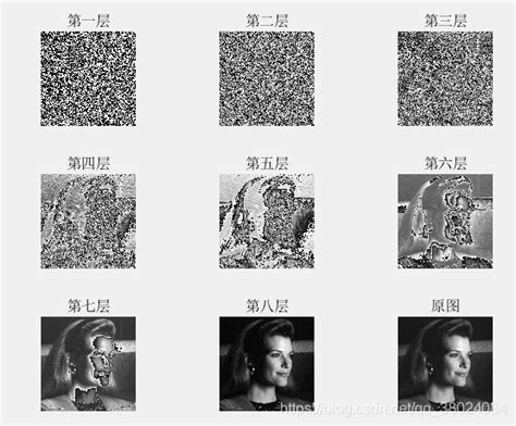 图像处理 灰度变换，图像反转，对数变换，幂次变换，位图切割，直方图显示，直方图均衡，直方图匹配 （数字图像处理matlab实现 ）设计利用幂律变换处理图像的算法并利用matlab代码