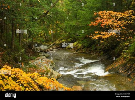 Texas Brook Texas Falls Recreation Area Green Mountain National