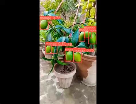 Sri Meghana On Linkedin Title Objective Detection Using Yolo Aimers Apsche Ai Visualization…