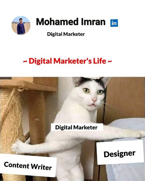 Mohamed Imran On Linkedin Digitalmarketing Digitalmarketer Contentwriter Designer Seo Sem