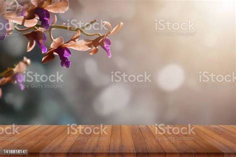 코스모스 꽃의 빈 꼭대기 나무 테이블은 일몰에 배경으로 흐려집니다 0명에 대한 스톡 사진 및 기타 이미지 0명 가을 귀여운 Istock